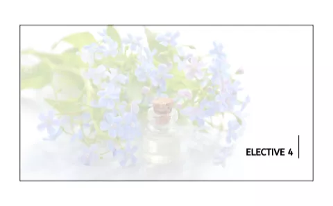 Elective 4 - Qualification Bundle - Australian College of Aromatherapy
