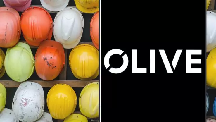 Olive Group - Health And Safety For Managers - BITA