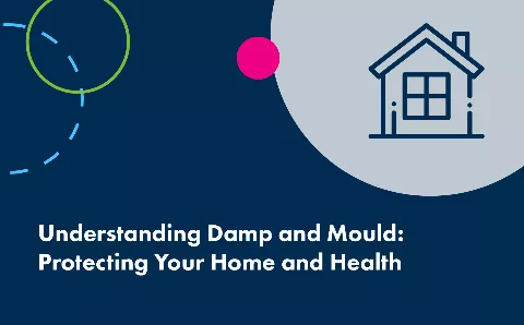 Understanding Damp and Mould: Protecting Your Home and Health - The ...